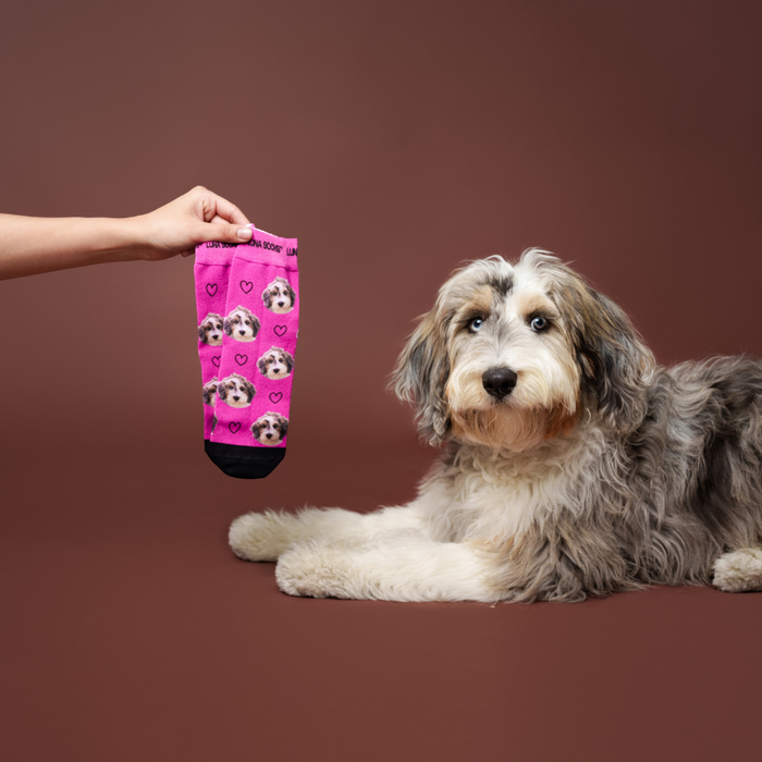 Luna Socks - Custom Pet Socks - Order Now